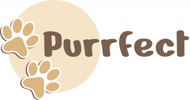 Purrfect – Just another Kit Pro – Template Kit site